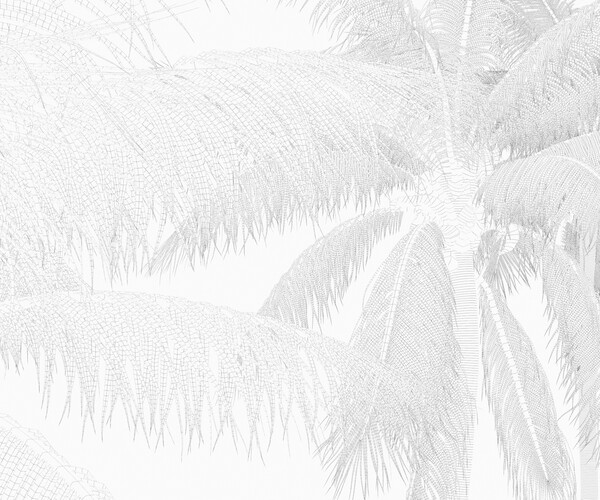 ArtStation - COCONUT TREE VOLUME PACK 01 | Resources