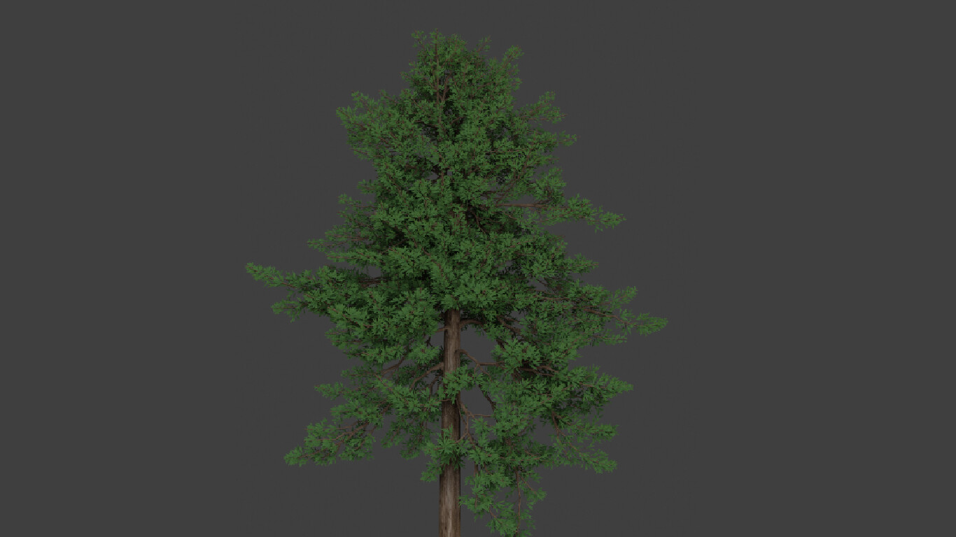 ArtStation - tree spruce 3d model 3D model | Resources