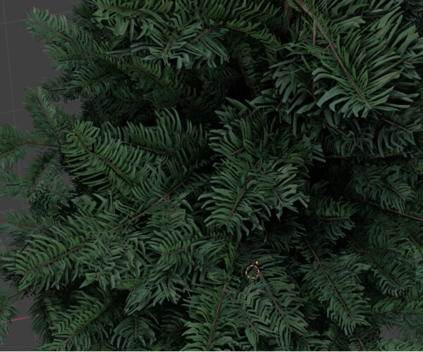 ArtStation - tree fir plant 3d model 3D model | Resources