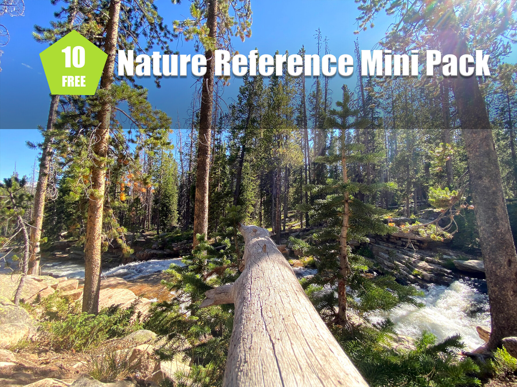 ArtStation - Nature Reference Mini Pack | Resources