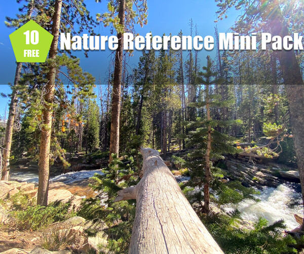ArtStation - Nature Reference Mini Pack | Resources
