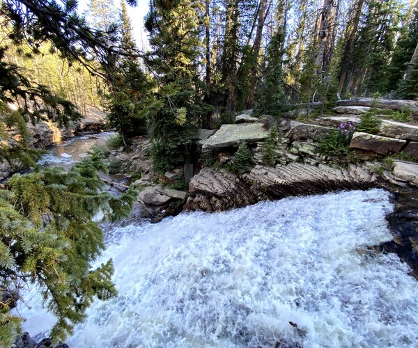 ArtStation - Nature Reference Mini Pack | Resources