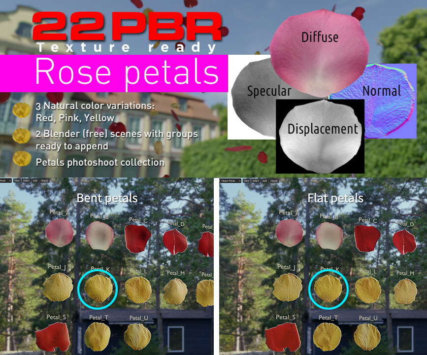 ArtStation - 3D Rose petals (PBR textures + Photoshoot) | Resources
