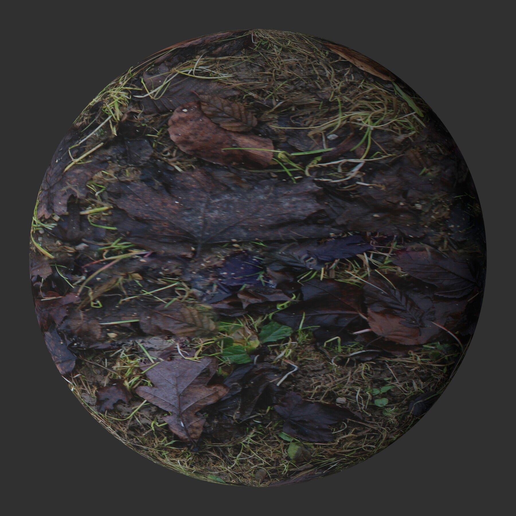 ArtStation - Fall Ground 2 PBR Material | Game Assets