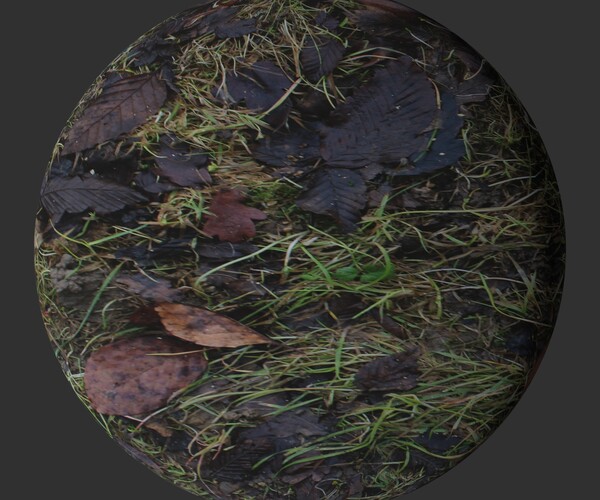 ArtStation - Fall Leaf Ground 3 PBR Material | Game Assets