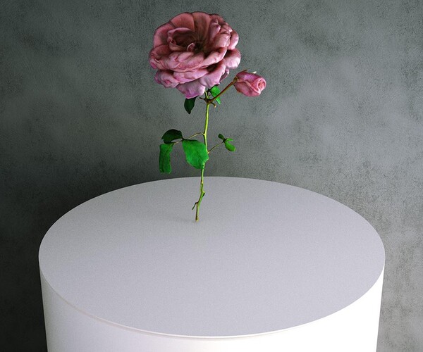 ArtStation - Rose / Rosa Hybrida 03 Pink [3d Scan Model: Plants ...