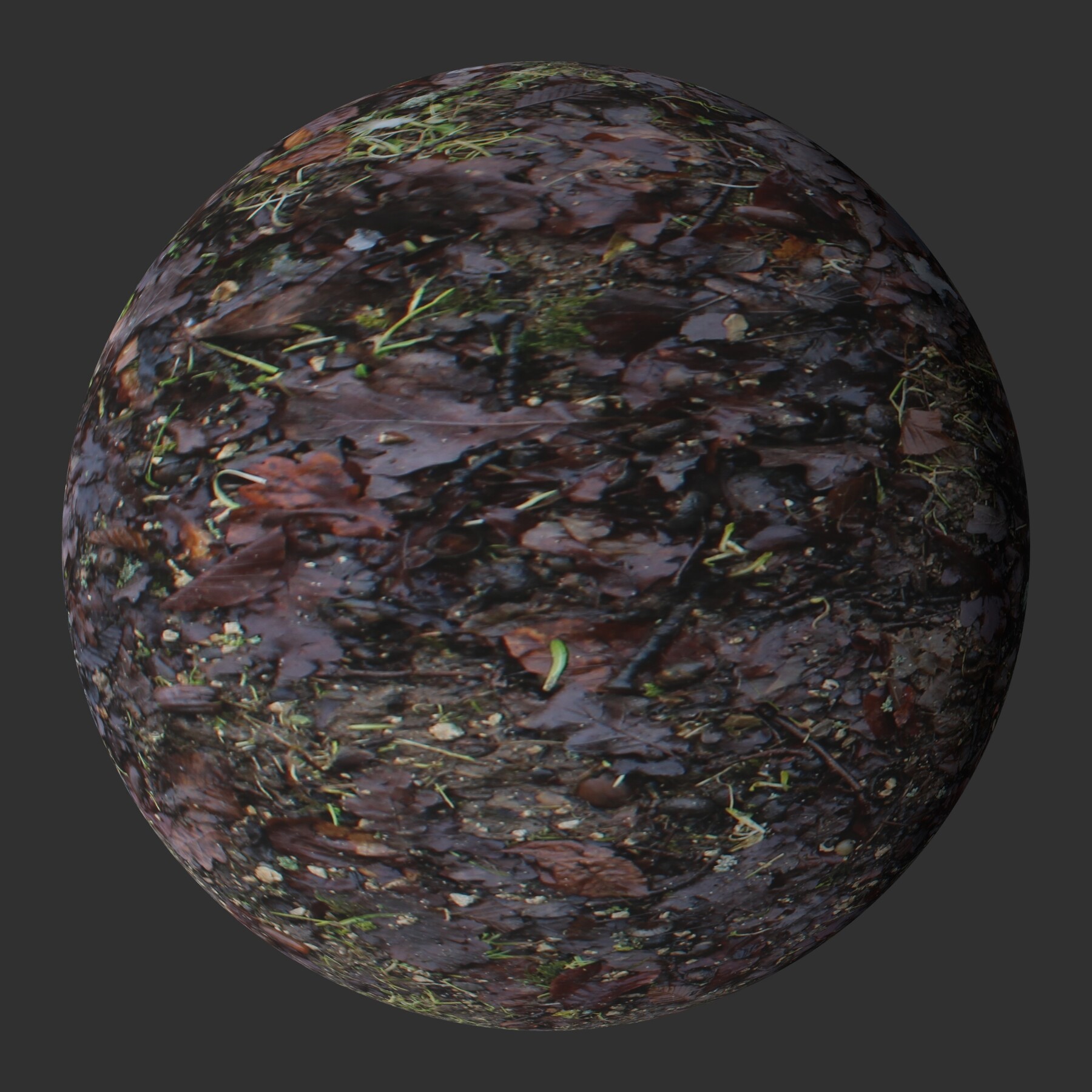 ArtStation - Wet Ground Fall 1 PBR Material | Game Assets