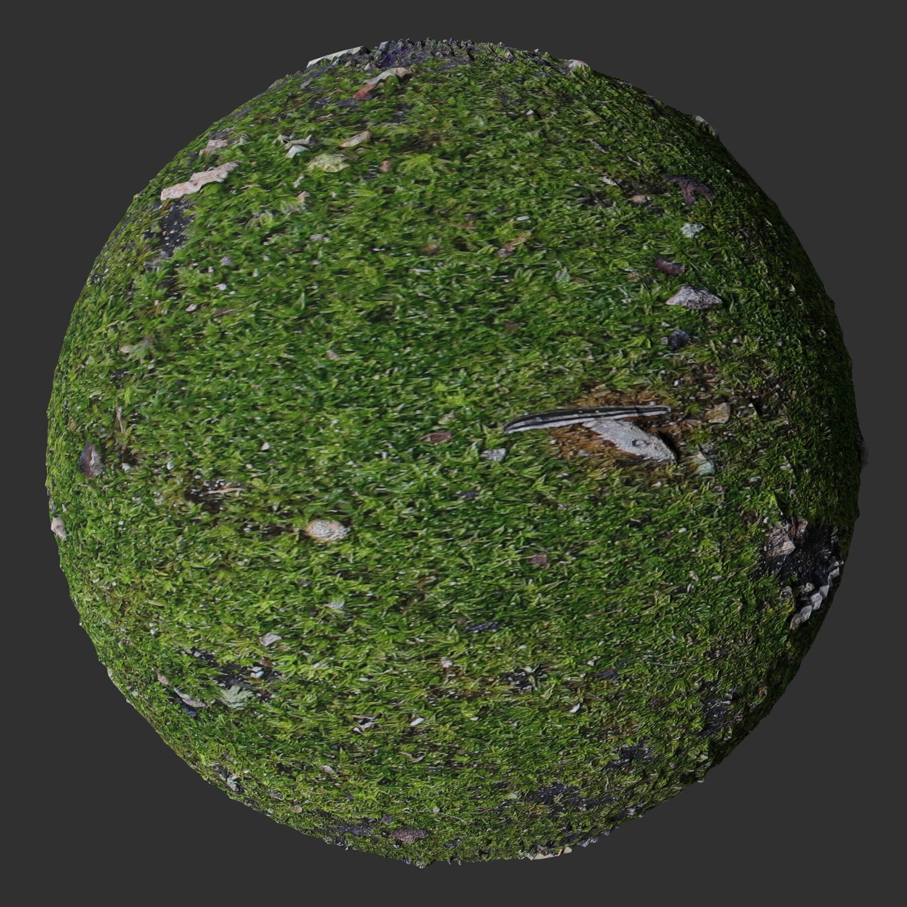 ArtStation - Mossy Ground 1 PBR Material | Game Assets