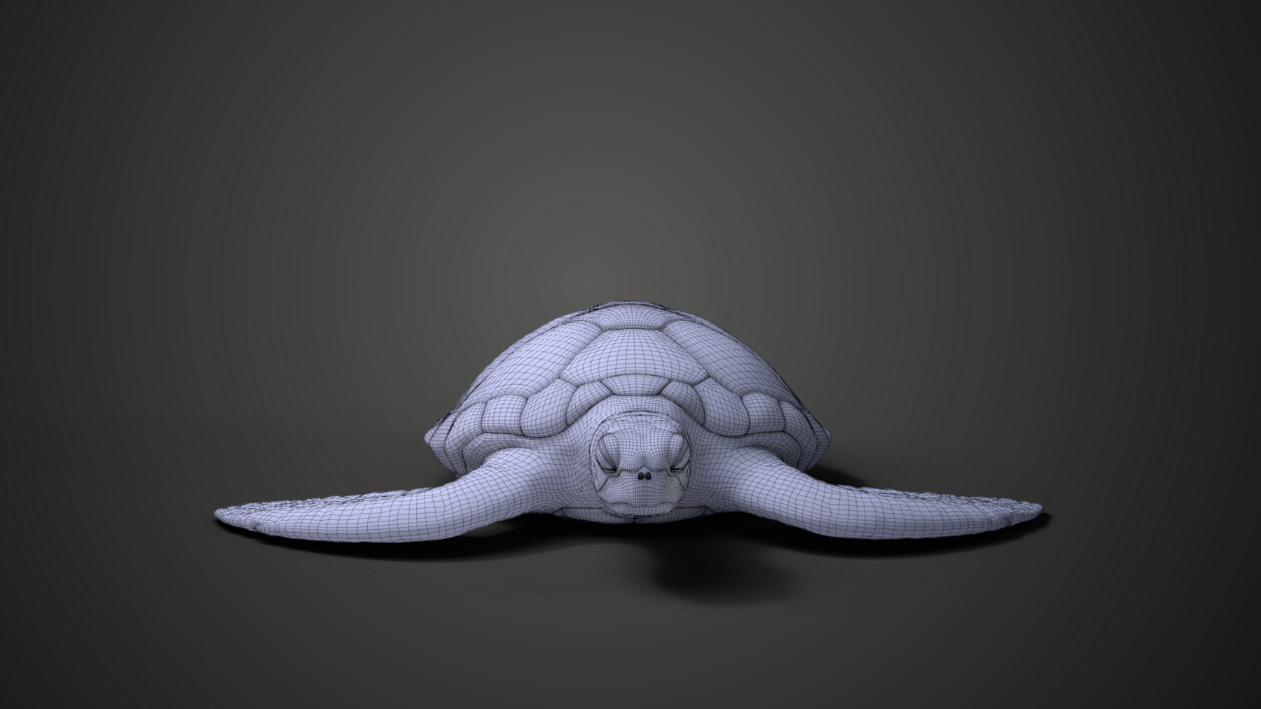 ArtStation - 3D Animal | Green Sea Turtle Animated | Resources