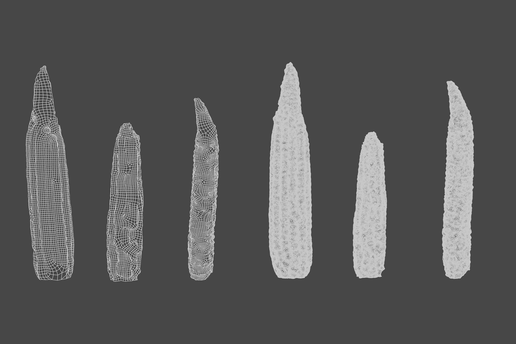 ArtStation - Corn cob of 3 Types in different stages - Blender Asset ...