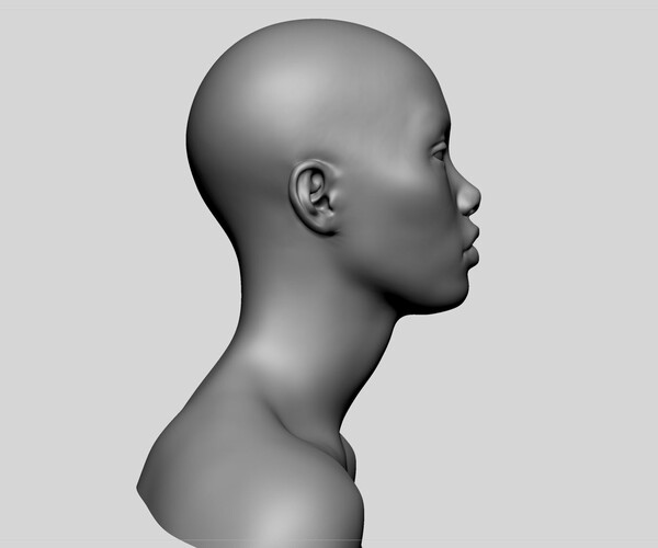 ArtStation - Asian Female Head | Resources