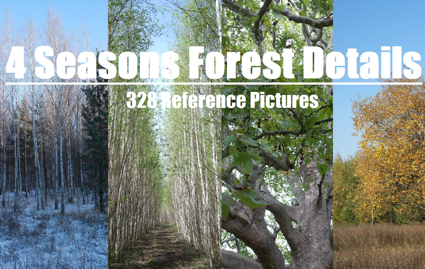 ArtStation - 4 Seasons Forest Details 328 Photo Reference Pictures ...
