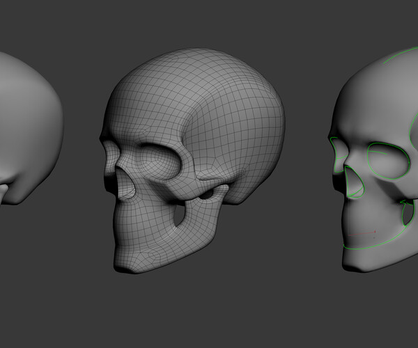 ArtStation - Skull Proportions & Key Landmarks | Resources