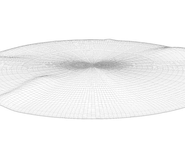 ArtStation - Circular Rug 3D model | Resources