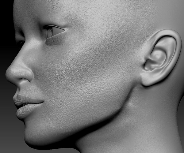 ArtStation - Head Female detail | Resources