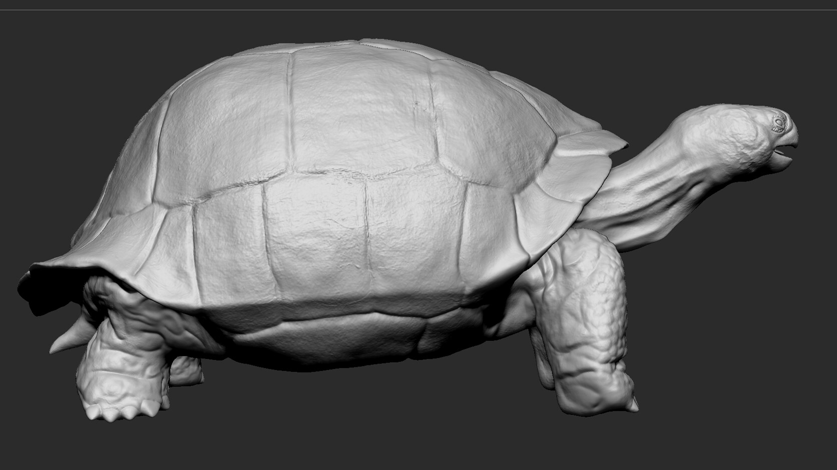 ArtStation - Galapagos Tortoise - Sculpt | Game Assets