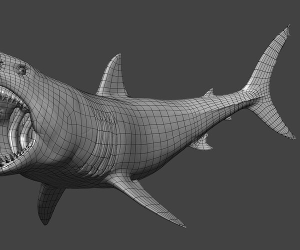 ArtStation - Great White Shark Model | Resources