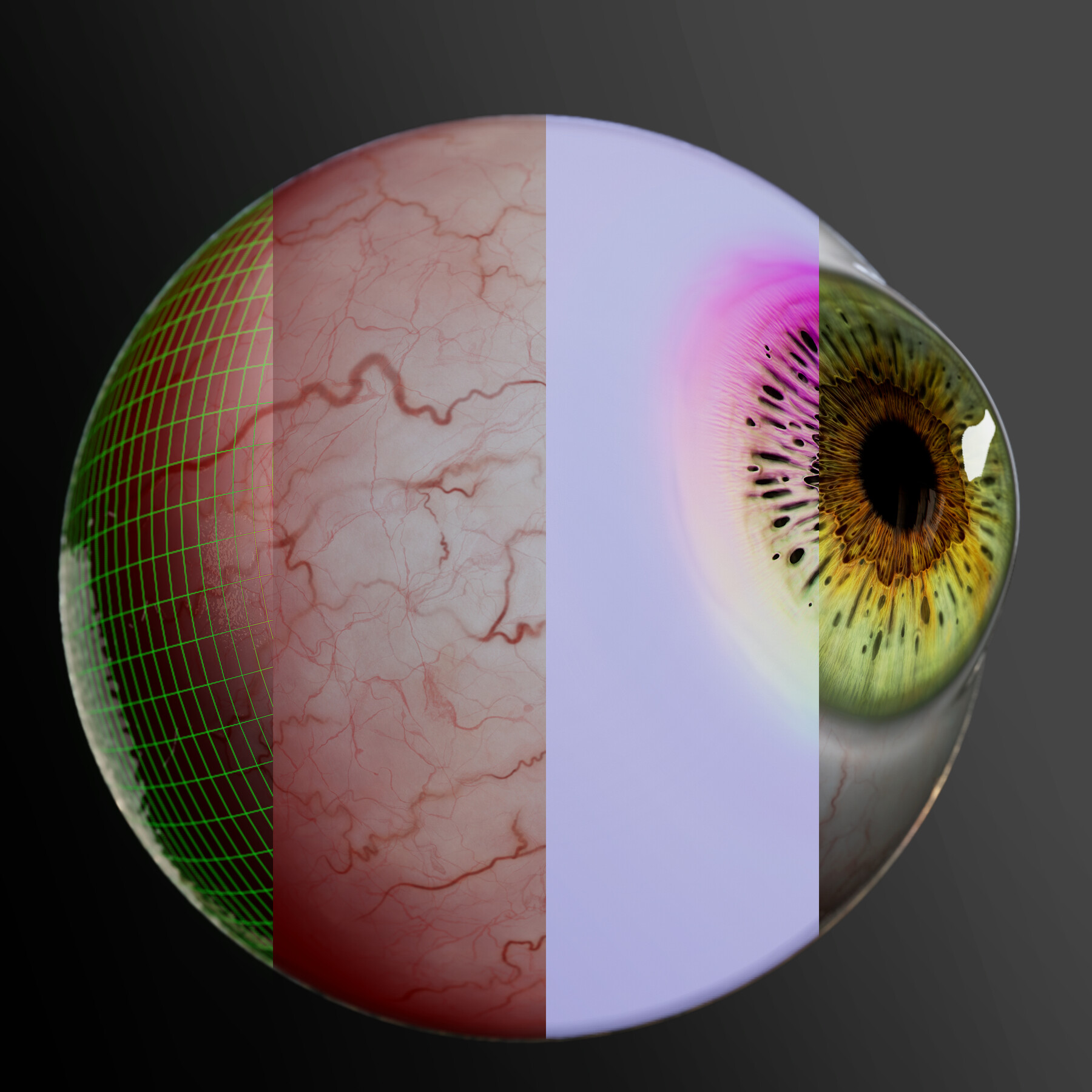 ArtStation - Game Ready Eye | Game Assets