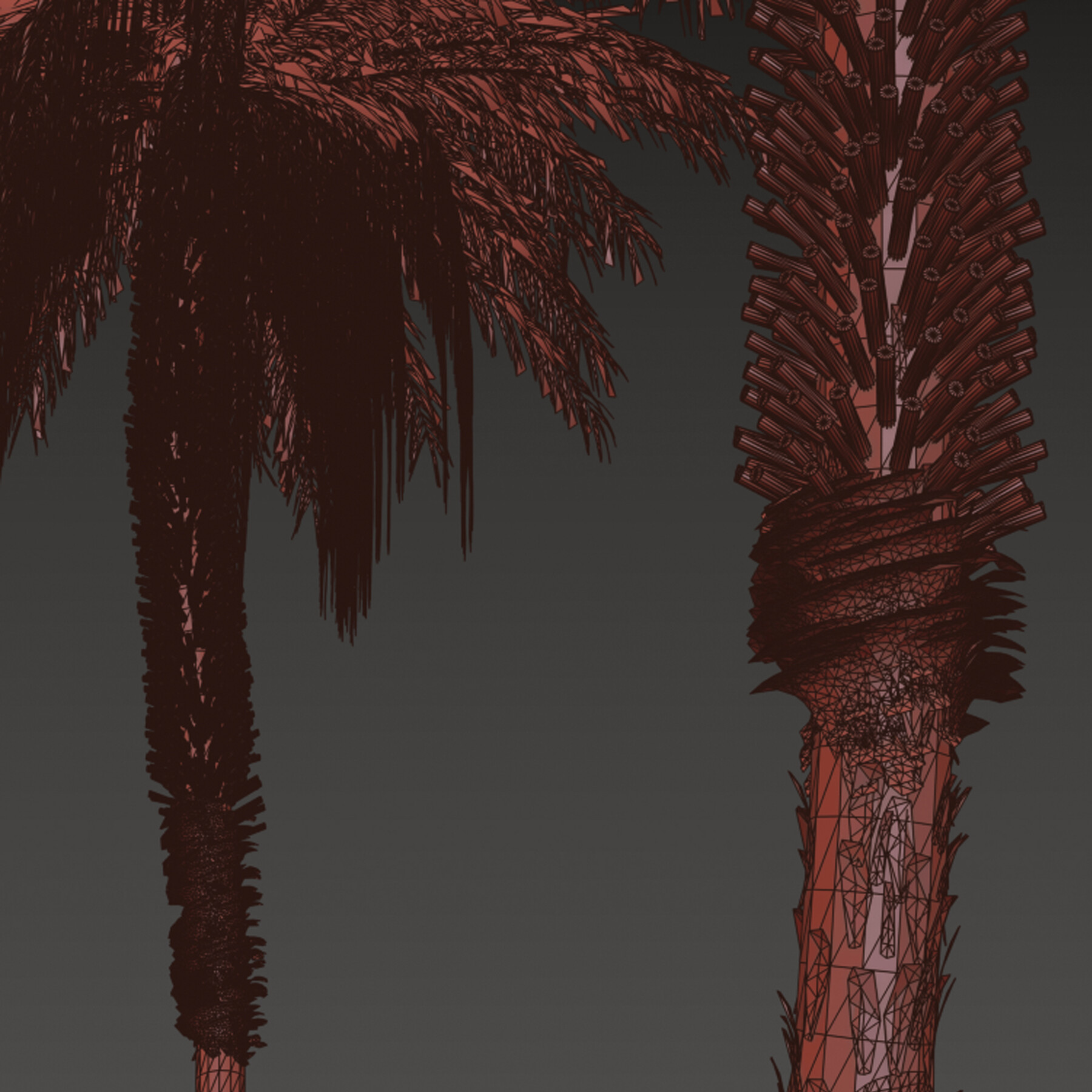 ArtStation - Set of Coconut Palm Trees (Cocos nucifera) (2 Trees ...