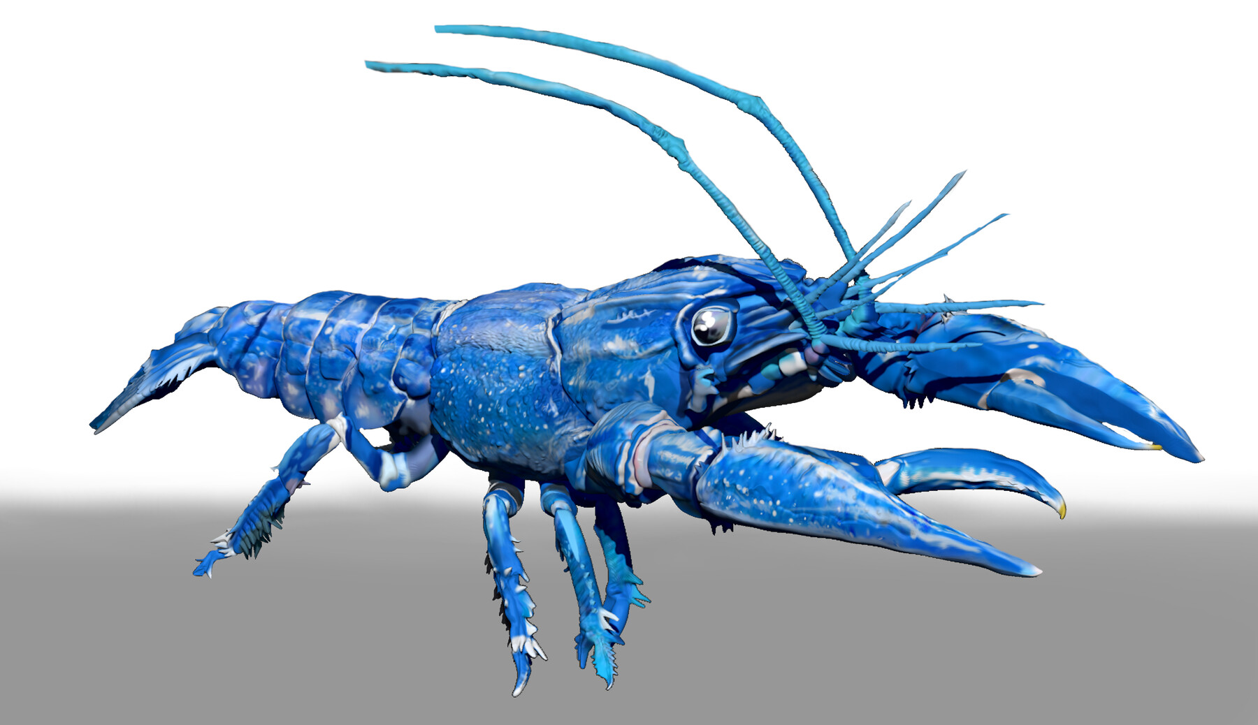 ArtStation - Blue Crawfish ZTL Sculpt and Polypaint | Resources