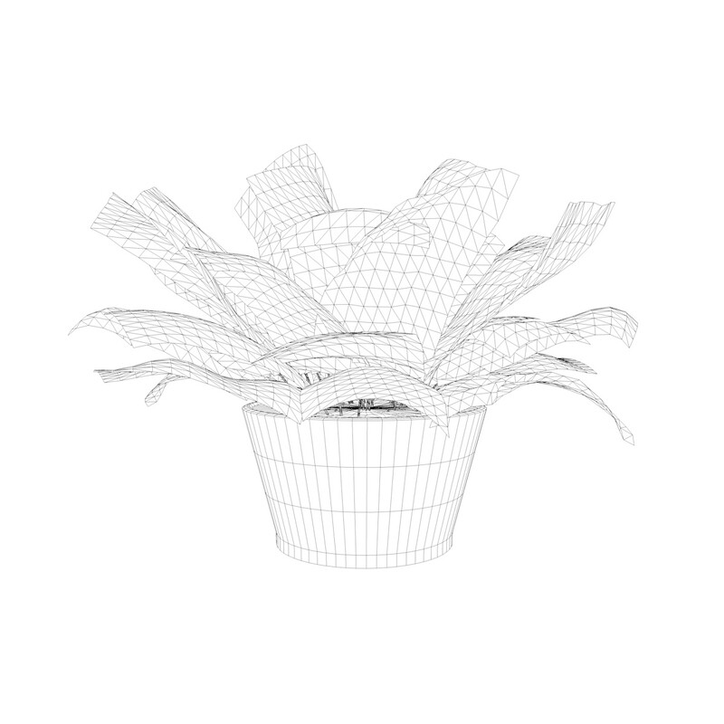 ArtStation - 3D Fern alpha channel model | Resources