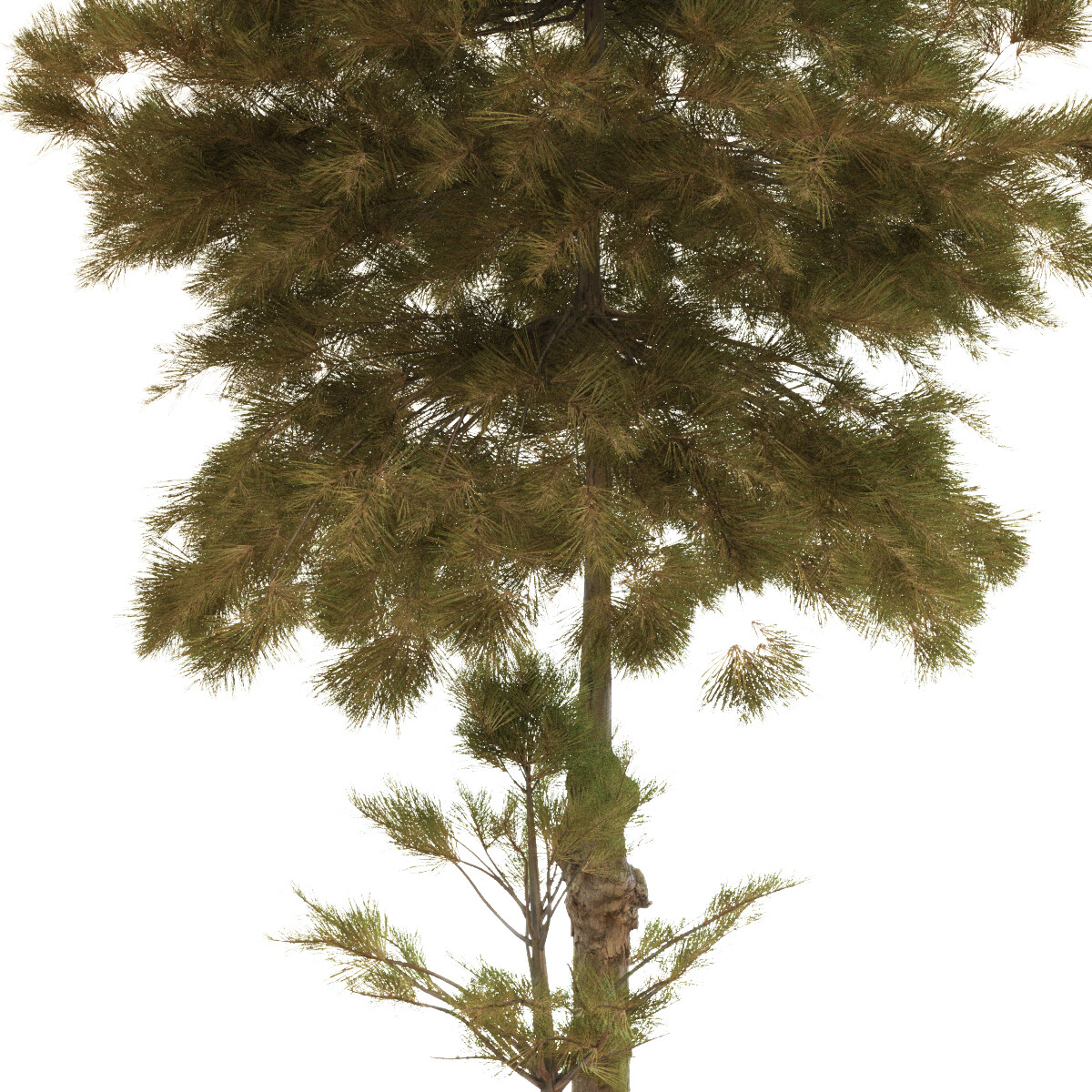 ArtStation - tree 035 | Game Assets