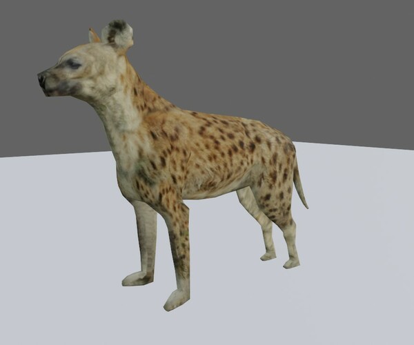 ArtStation - Hyena low and high poly 3D model | Game Assets