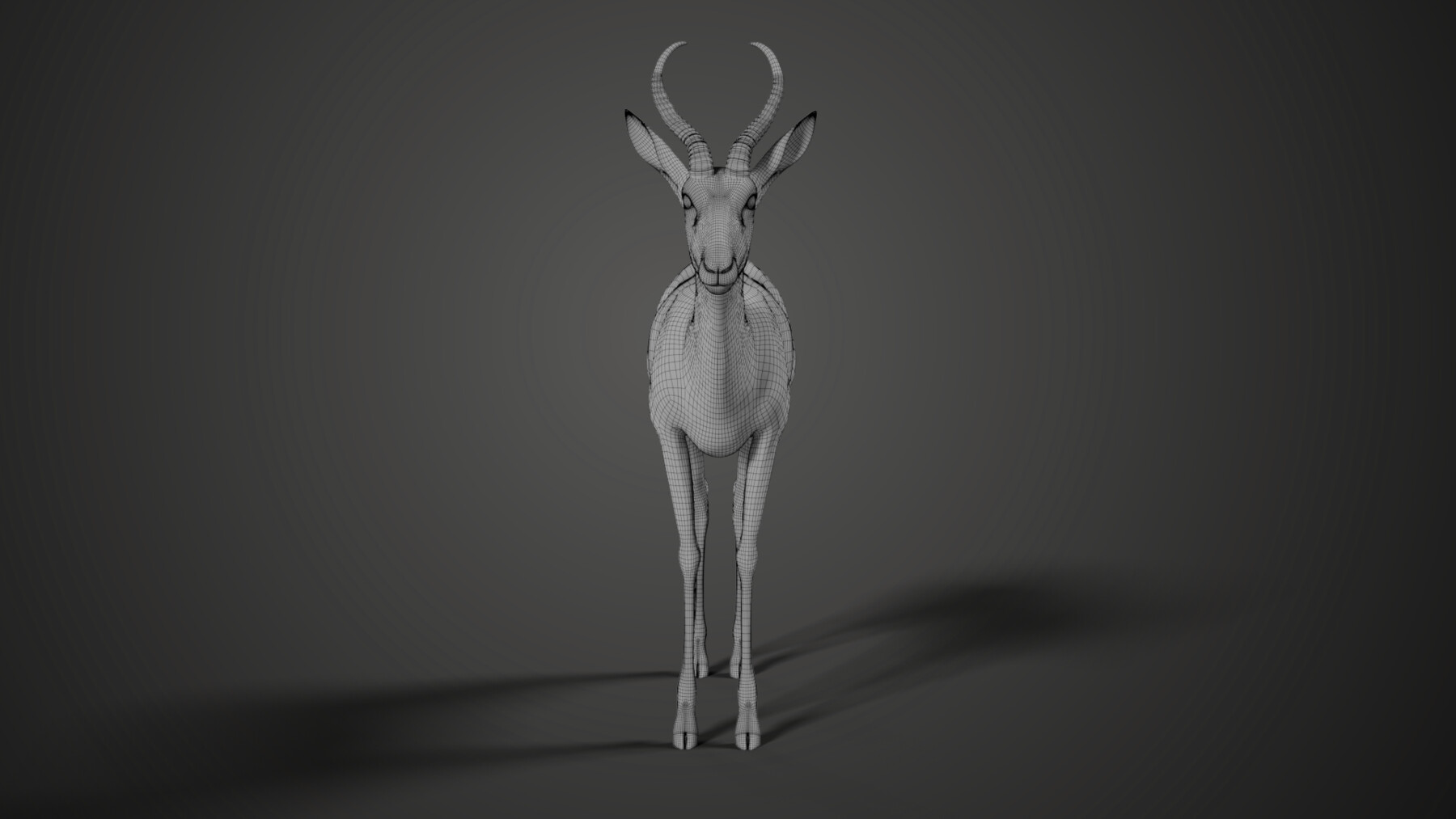 ArtStation - 3D Animal | Springbok Animated | Resources