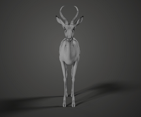 ArtStation - 3D Animal | Springbok Animated | Resources