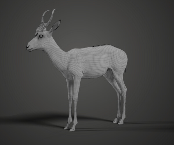 ArtStation - 3D Animal | Springbok Animated | Resources