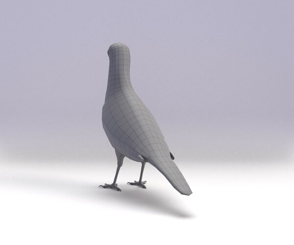 ArtStation - Spotted dove | Resources