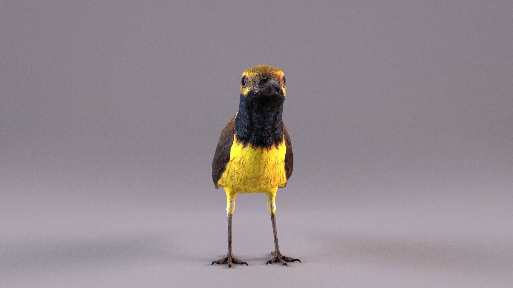 ArtStation - Olive-backed Sunbird | Resources