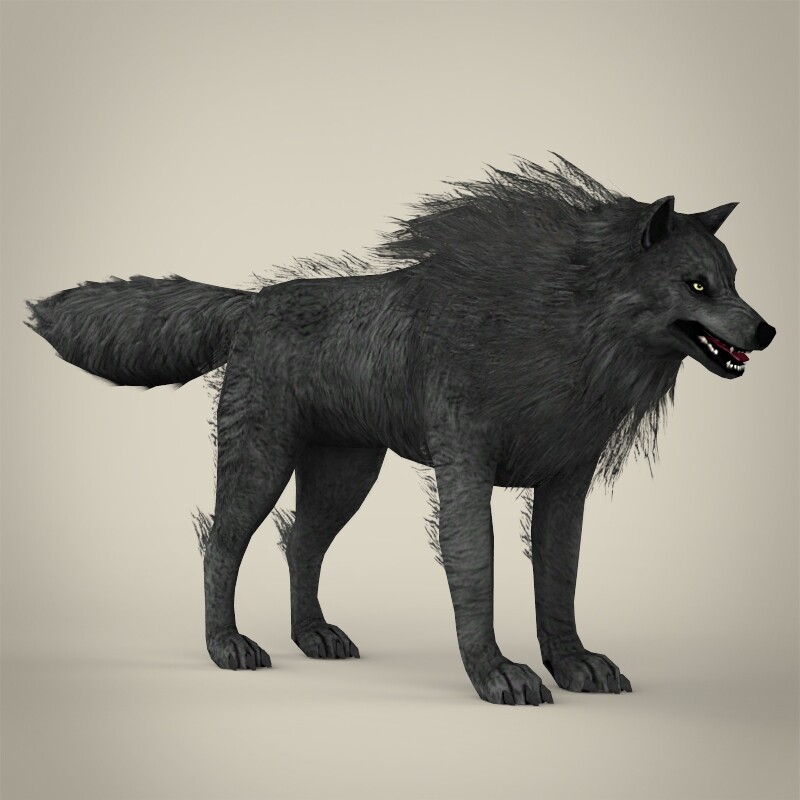 ArtStation - Black Wolf | Resources