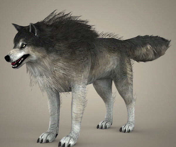 ArtStation - Brown Wolf | Resources