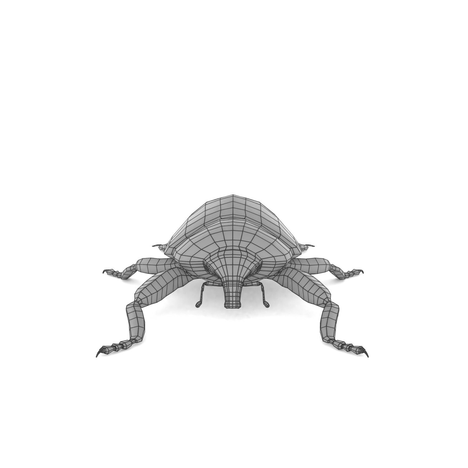 ArtStation - Weevil Echinodera hypocrita | Resources