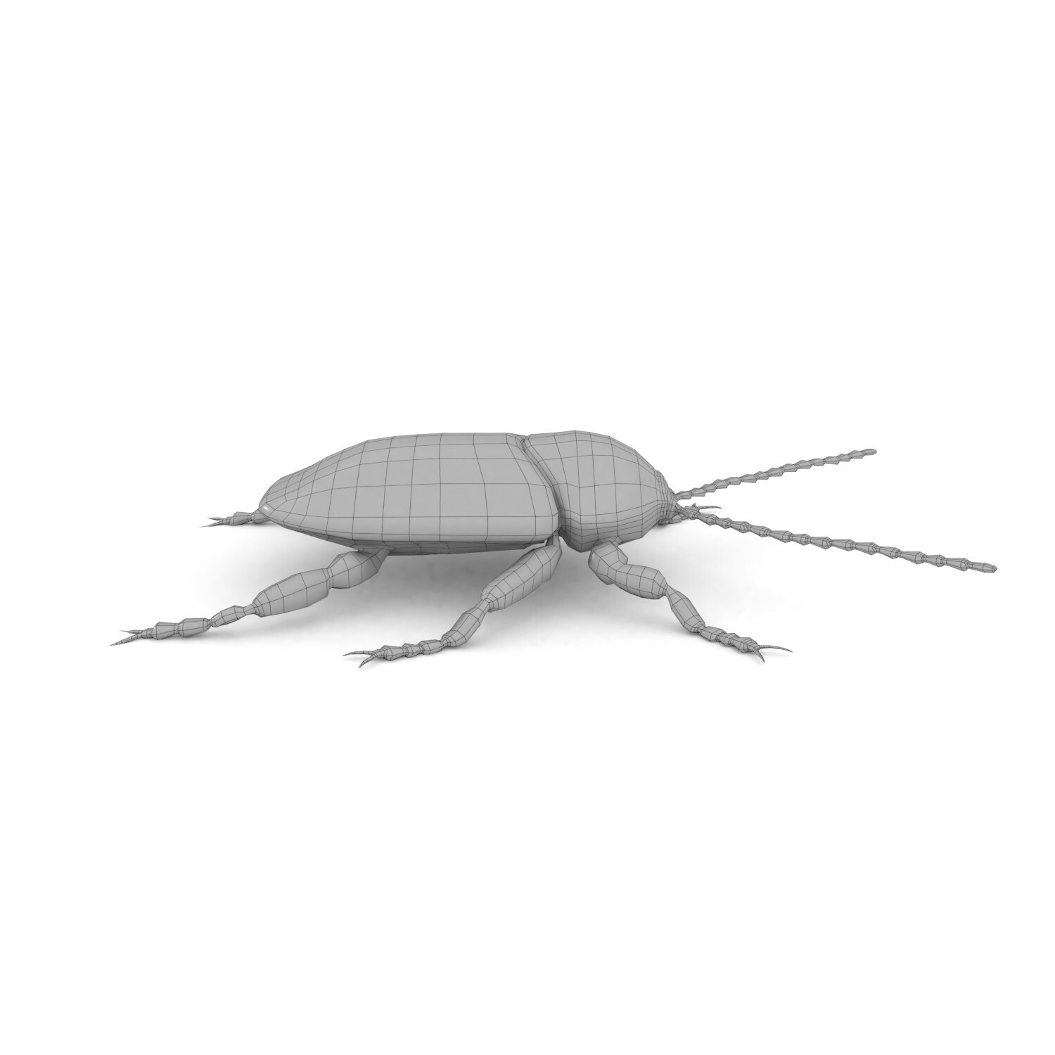 ArtStation - Ten-Spotted Pot Beetle | Resources