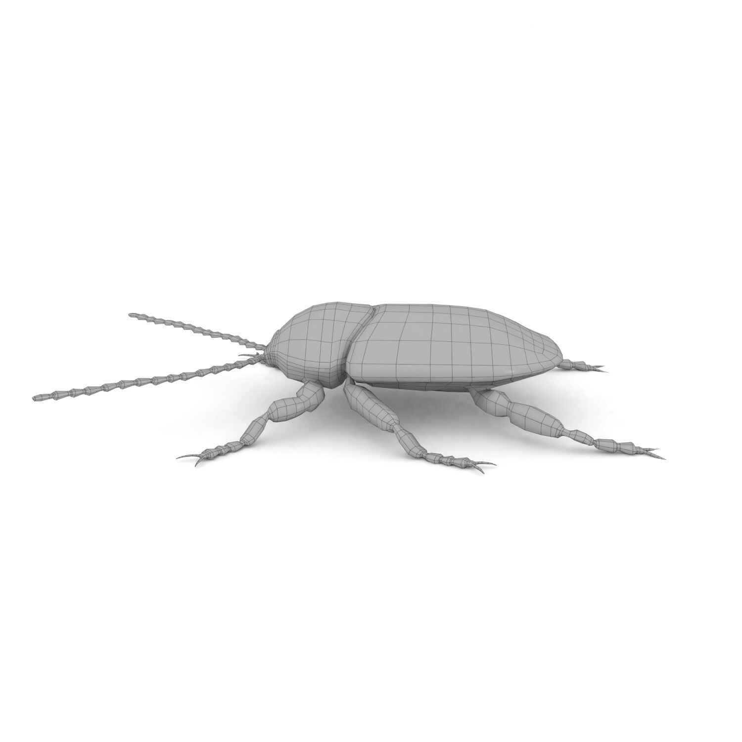 ArtStation - Ten-Spotted Pot Beetle | Resources