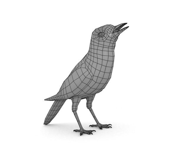 ArtStation - White wagtail | Resources