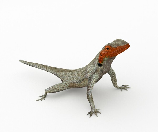 ArtStation - Lava Lizard | Resources