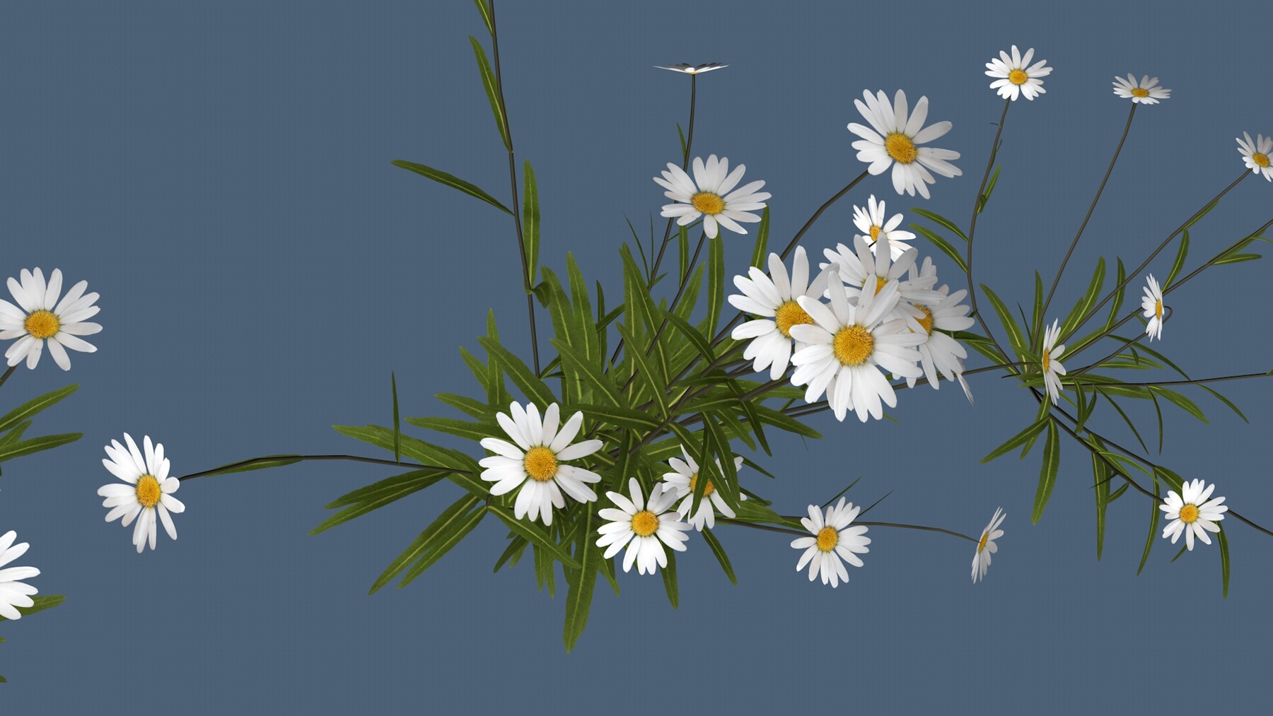 ArtStation - Chamomile | Resources
