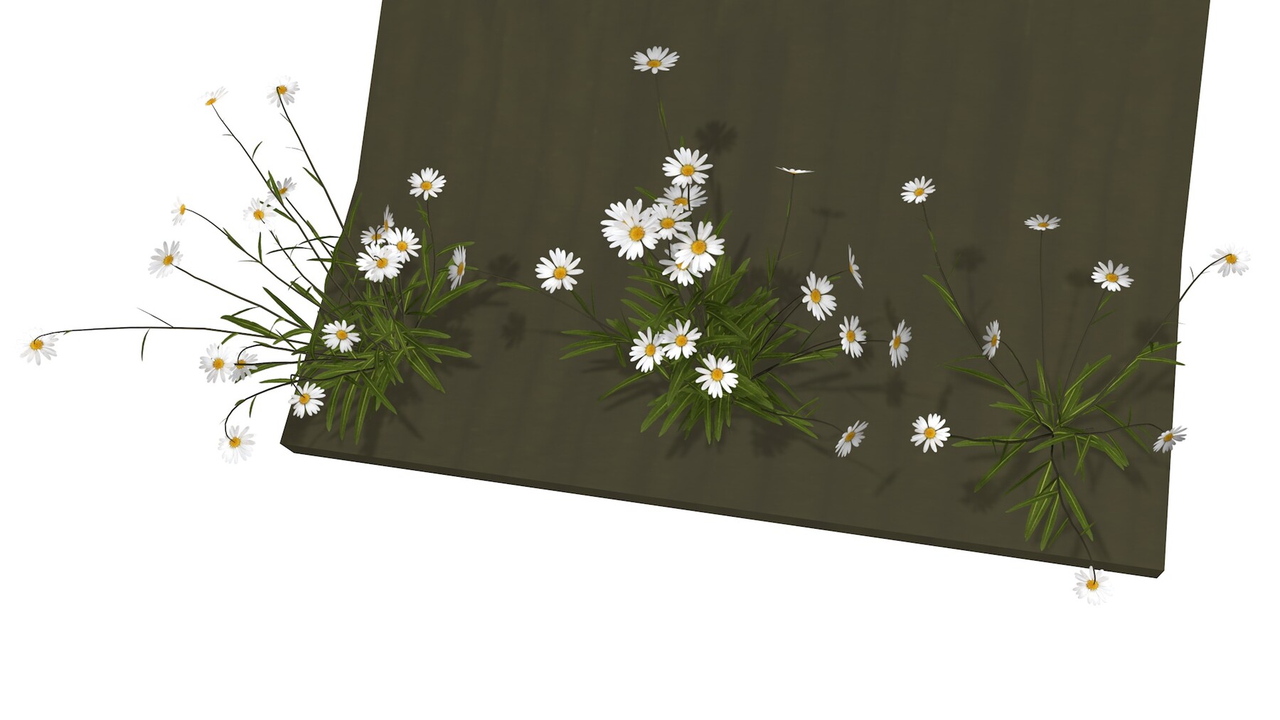 ArtStation - Chamomile | Resources