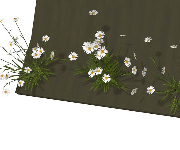 ArtStation - Chamomile | Resources