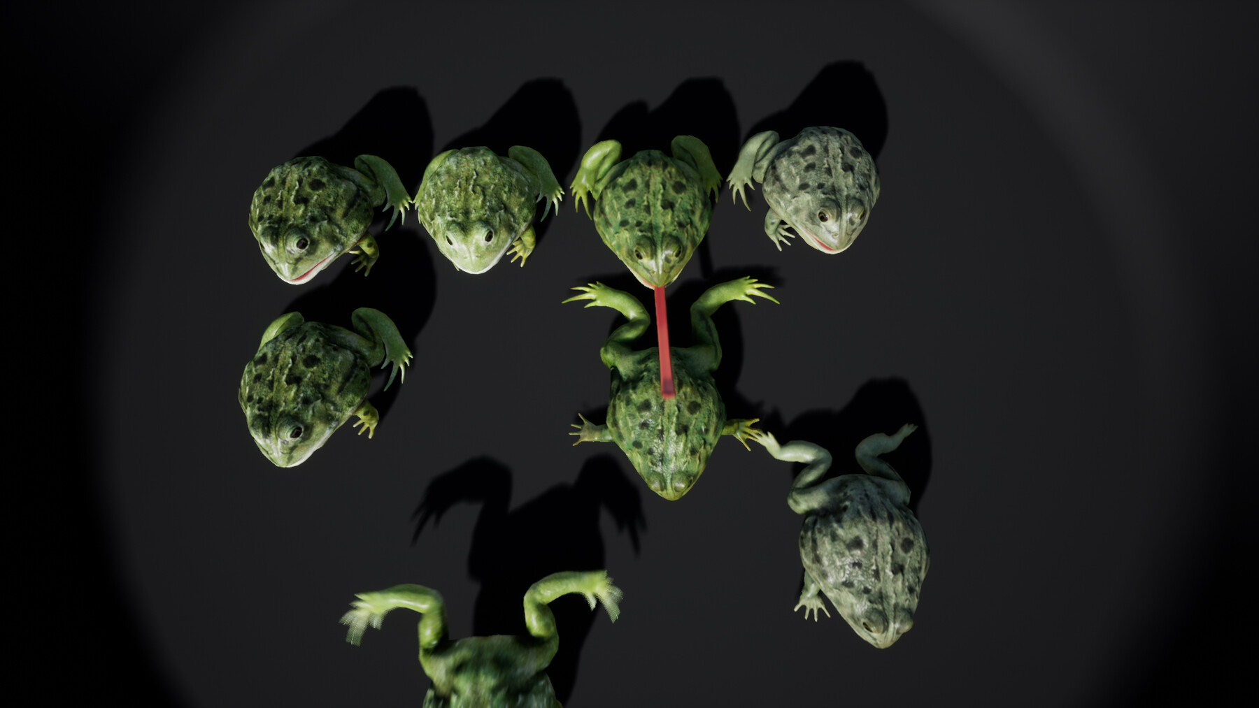 ArtStation - Pixie Frog - Game Ready | Game Assets