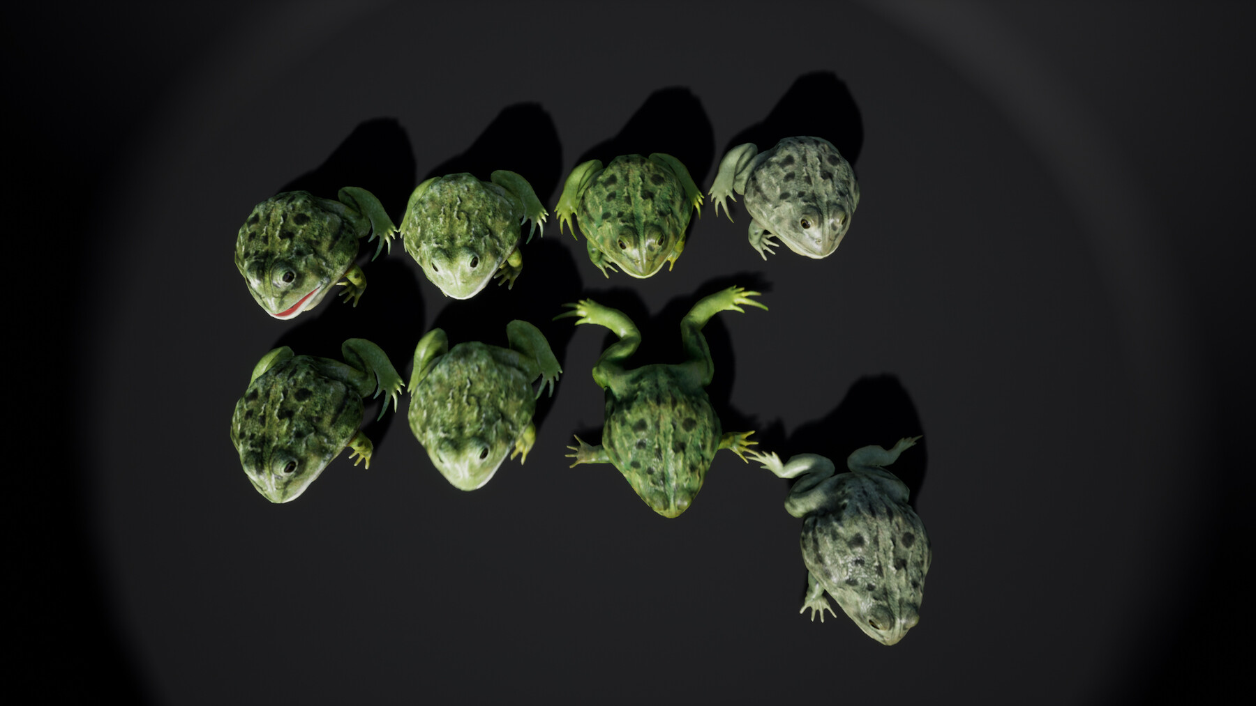 ArtStation - Pixie Frog - Game Ready | Game Assets