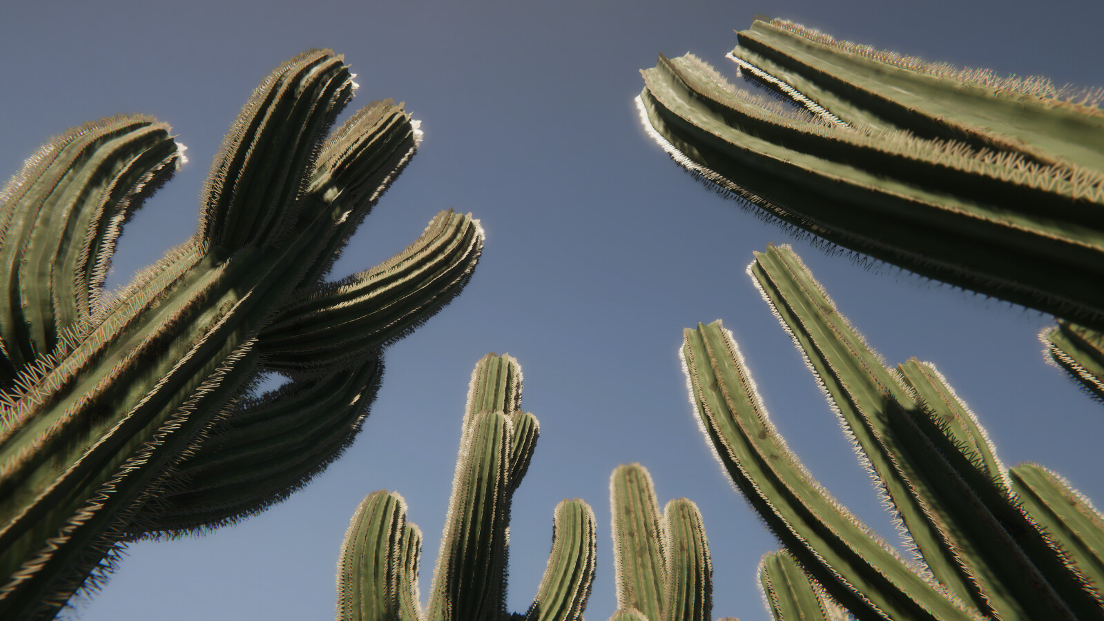 ArtStation - Cactus Package | Game Assets