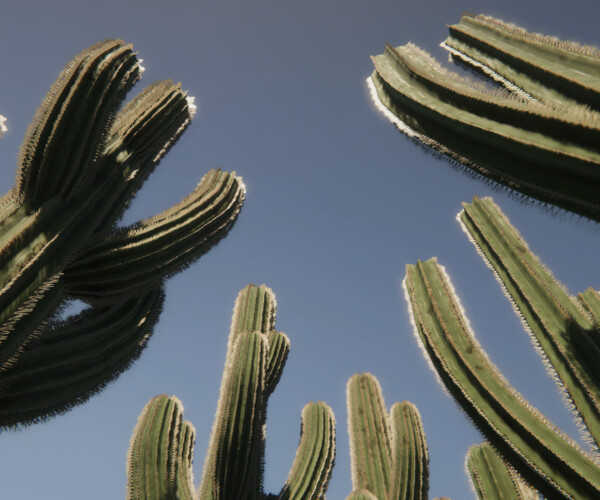 ArtStation - Cactus Package | Game Assets