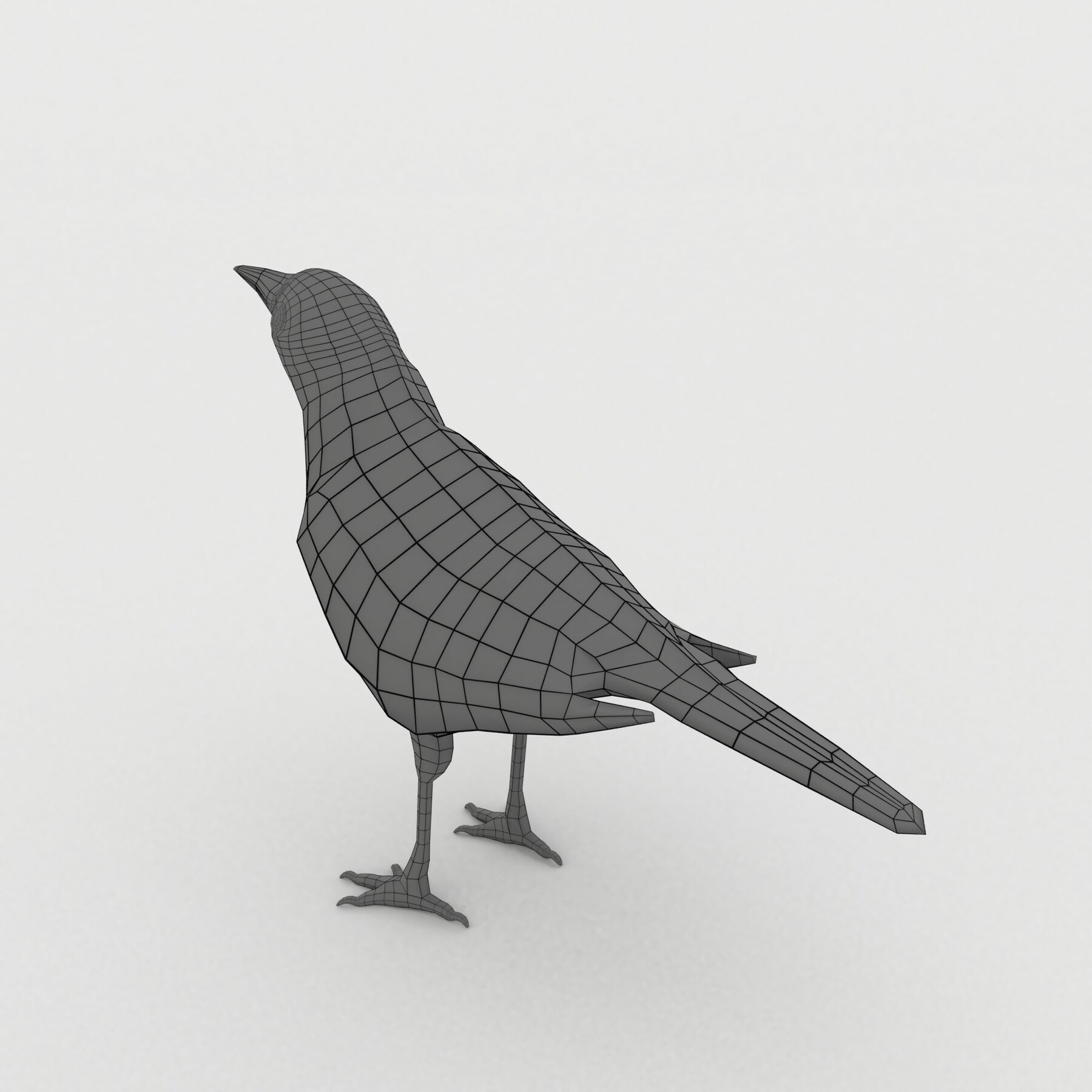 ArtStation - Magpie | Resources