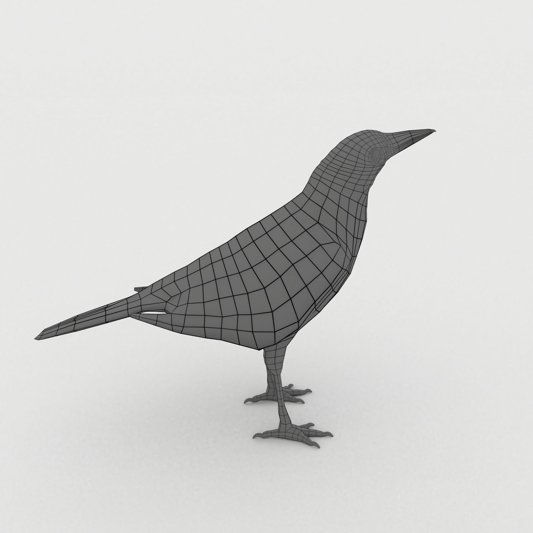 ArtStation - Magpie | Resources