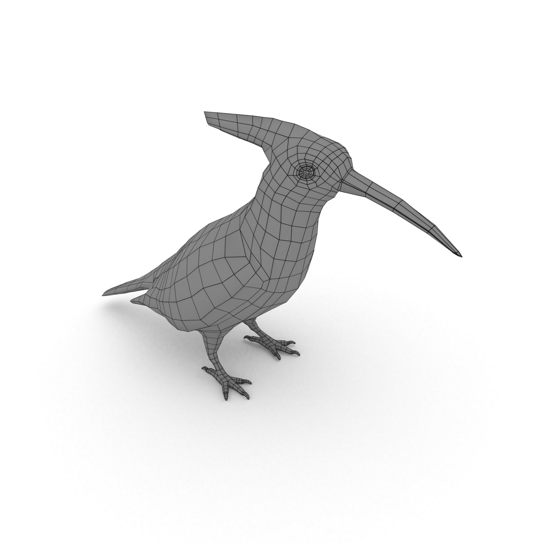 ArtStation - Eurasian hoopoe (Upupa epops) | Resources