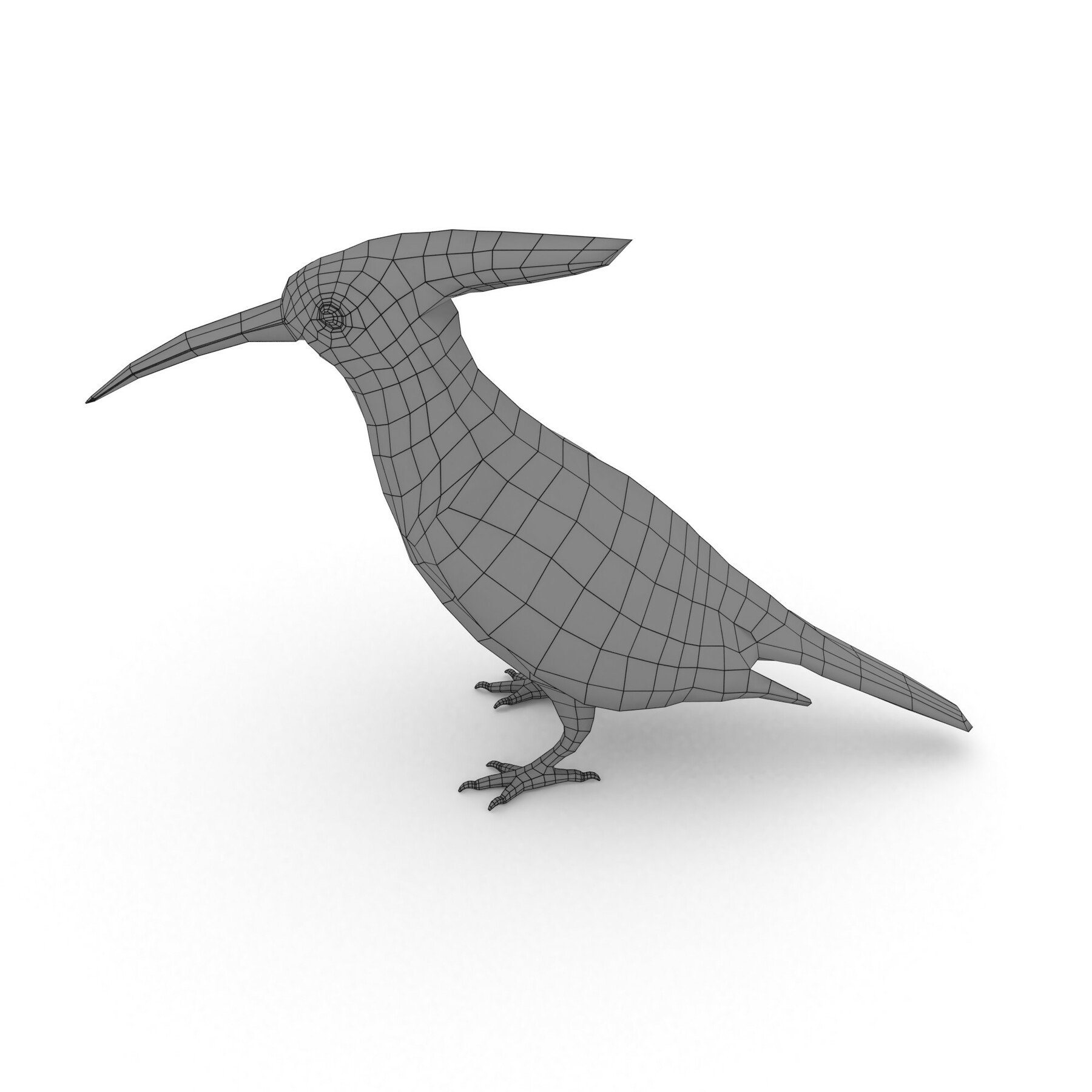 ArtStation - Eurasian hoopoe (Upupa epops) | Resources